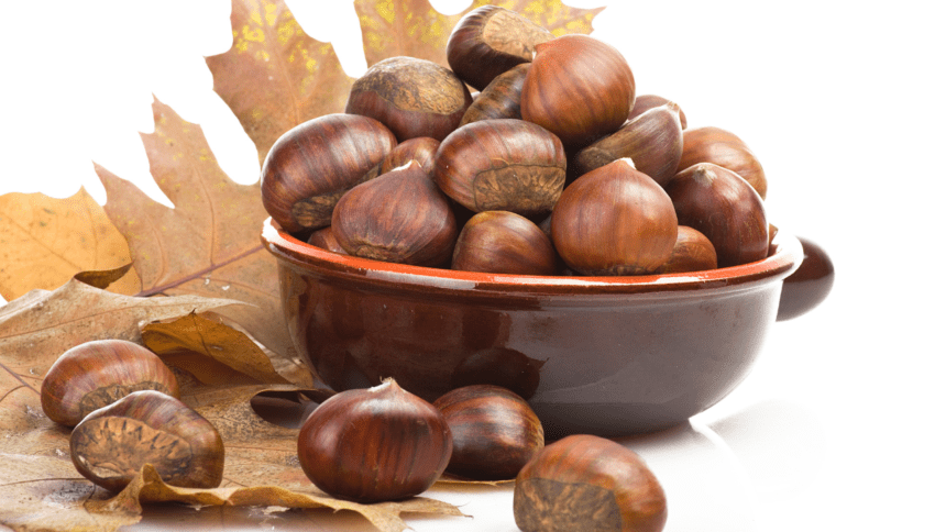 Chestnuts: The Best Nut You Didn't Know You Needed - Sarefit